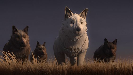 A Jedi’s connection with animals – Star Wars and Other Obsessions
